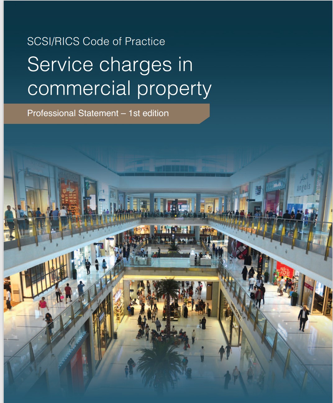 commercial property – Society of Chartered Surveyors Ireland